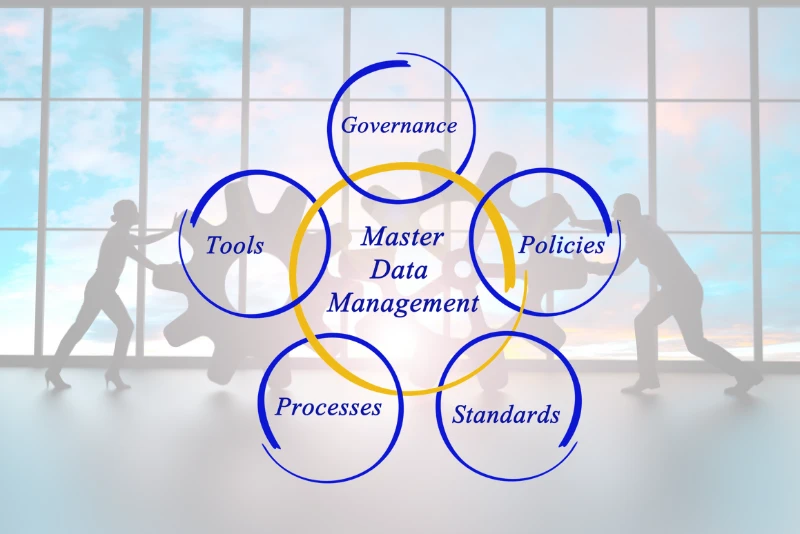 Nextwebi | Master data management services